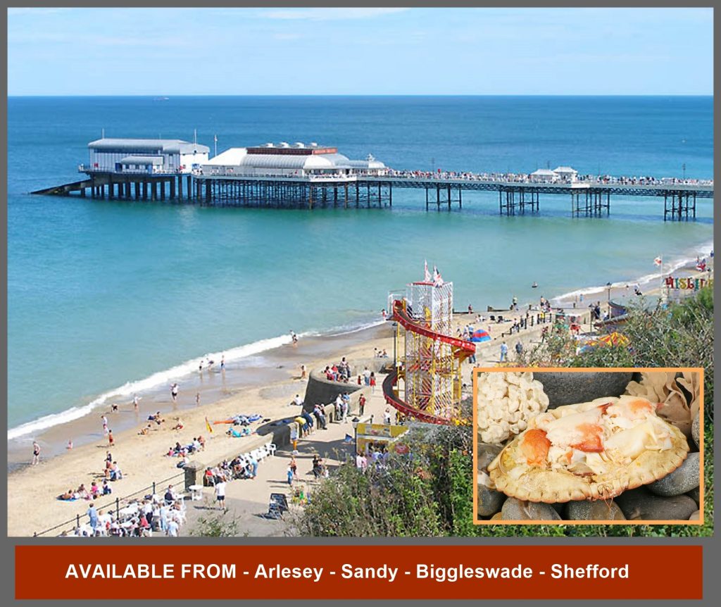 Day Trips - Landmark Hire