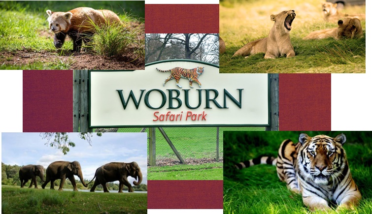 Day Trips | Landmark Hire